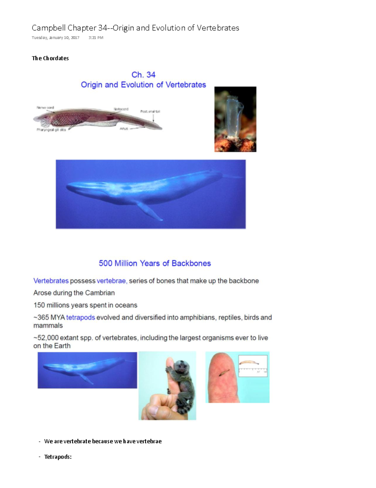 BIOL 1108 - Campbell Chapter 34-Origin and Evolution of Vertebrates ...