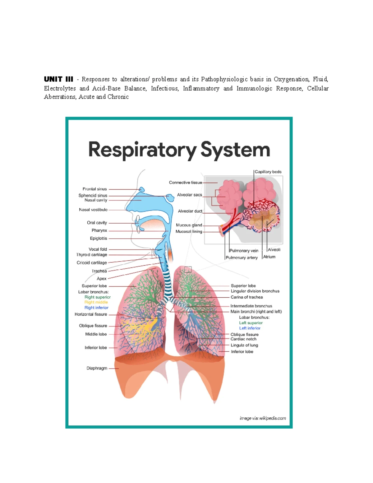 CHN - Community Health Nursing Notes and Principles - Studocu