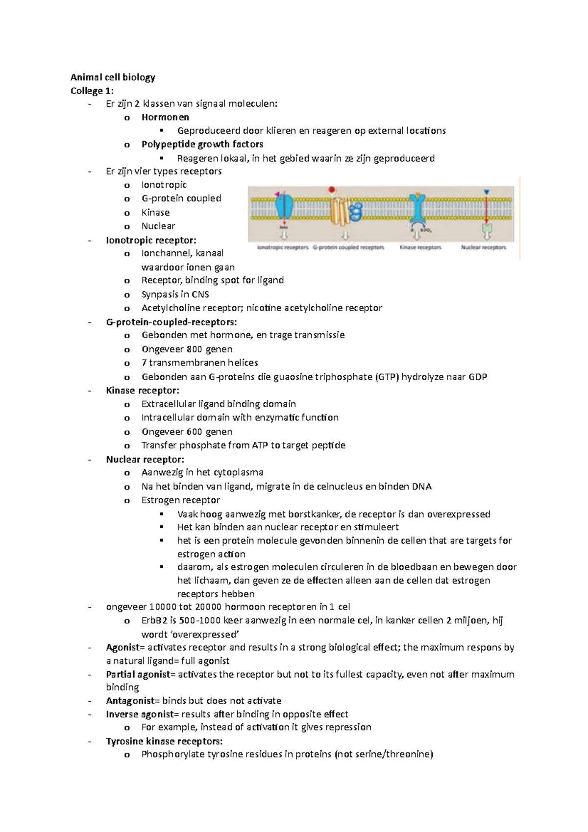 3.12 handout IMRa D - imrad structuur voor verslaglegging - IMRaD Een ...