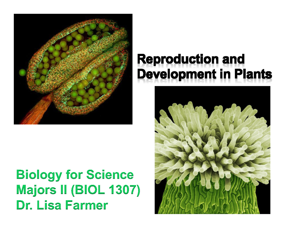 Lecture 2: Ch 38 - Reproduction and Development in Plants (BIOL 1307 ...