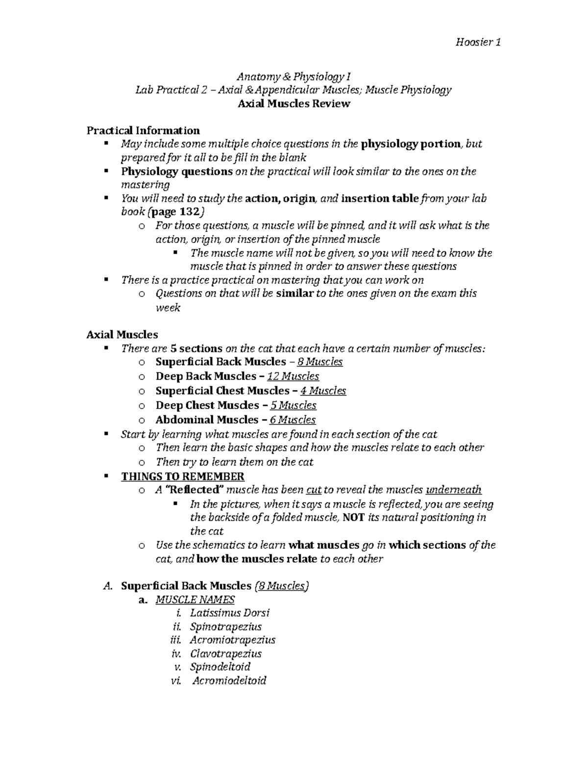 Anatomy And Physiology Muscles Practical