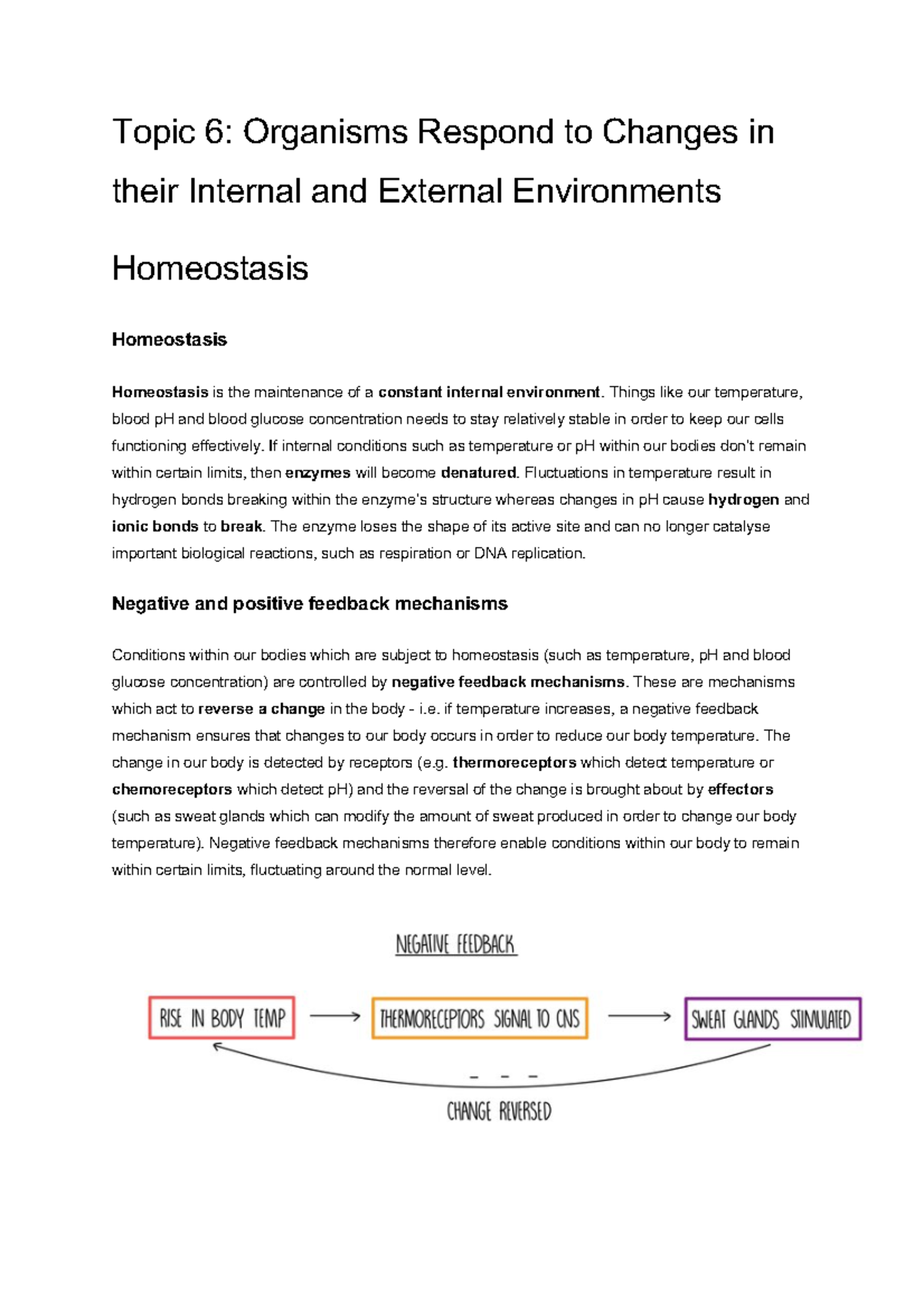 Topic+6+Homeostasis - This is all the notes for aqa homeostasis A level ...