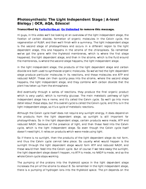 Observation - It is an experiment on plants - AI PROJECT- PLANNING AND ...