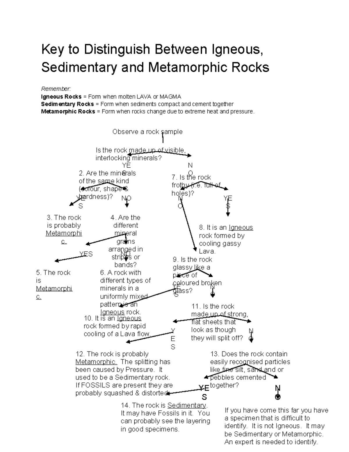 Distinguishing Igneous, Sedimentary & Metamorphic Rocks Guide - Studocu