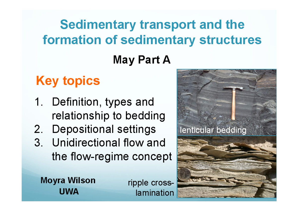 2231 Week 3 Part A-B Sedimentary Structures Overview - Studocu