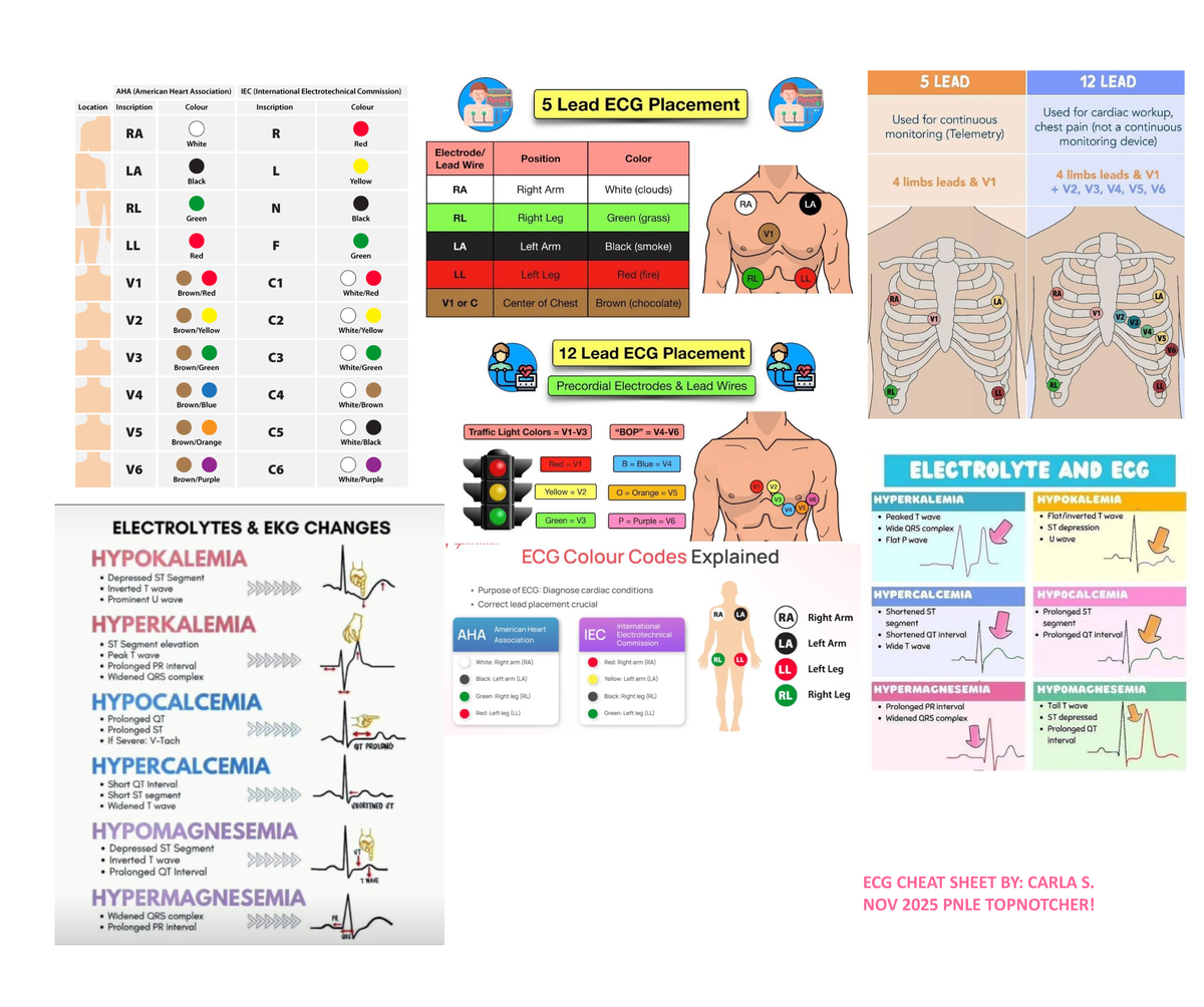 ECG Cheat Sheet for PNLE 2025: Lead Placement & Components - Studocu