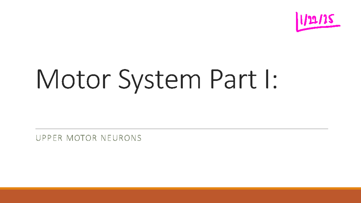 Motor System Overview: Upper Motor Neurons and their Functions - Motor ...
