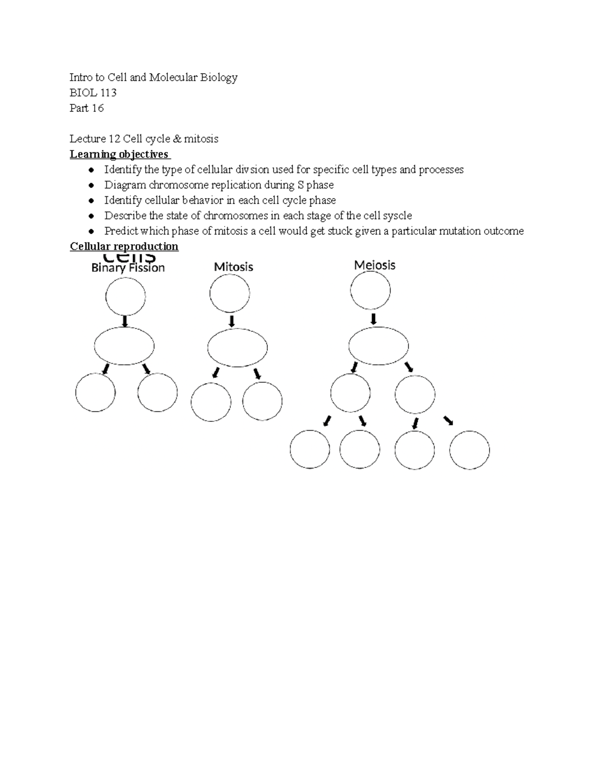 BIOL 113 Lecture Notes Part 16: Cell Cycle & Mitosis Overview - Studocu