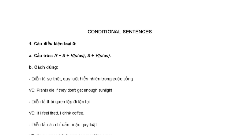Conditional Sentences Overview and Examples - Studocu