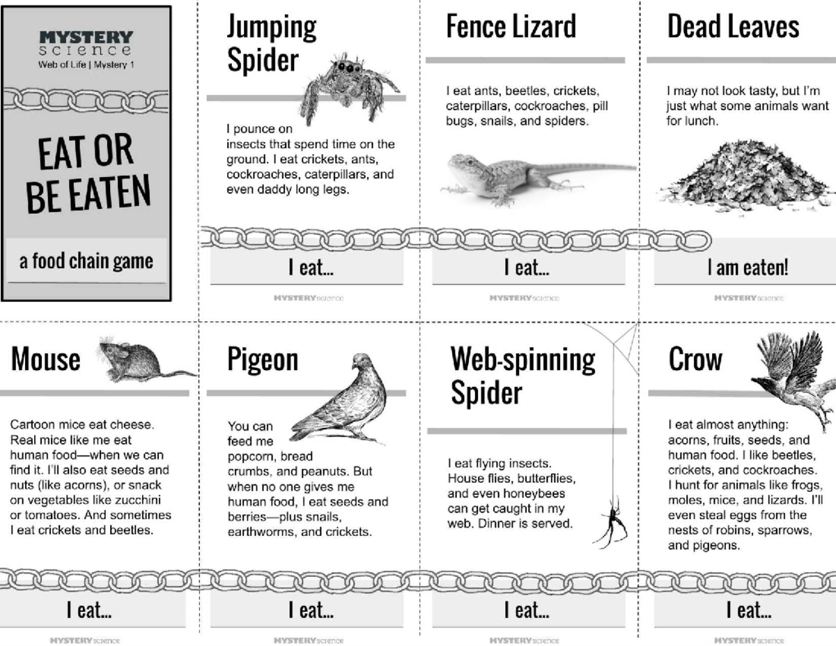 Mystery science food web cards: Understanding the web of life - Studocu