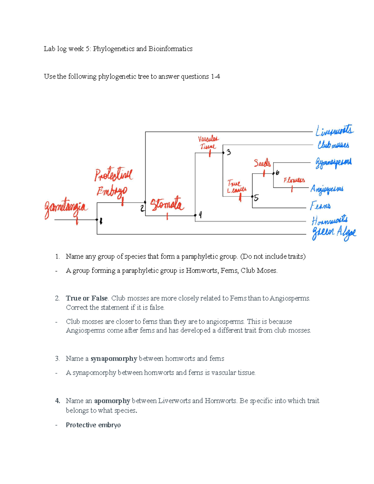 Lab Log 5: Phylogenetics and Bioinformatics Insights - Studocu