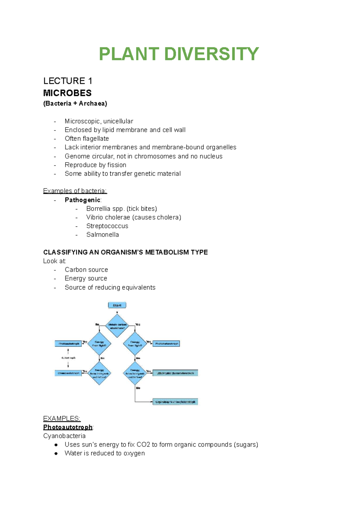 PLANT DIVERSITY LECTURE 1-7 NOTES: MICROBES TO SEED PLANTS - Studocu