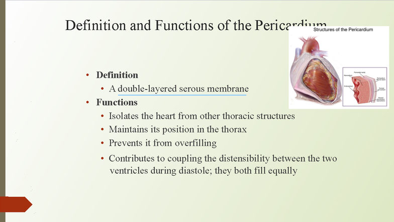 Patho 101: Pericardium Functions & Disorders Overview - Studocu