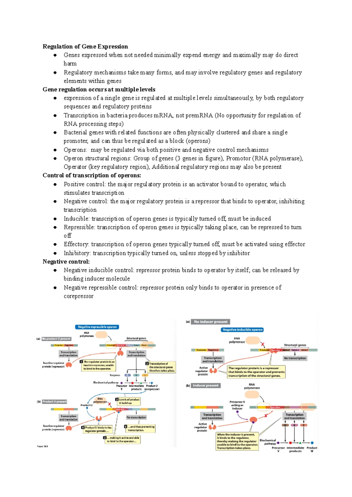 DNA Mutation Simulation Worksheet - DNA Mutation Simulation Access the simulation at: - Studocu