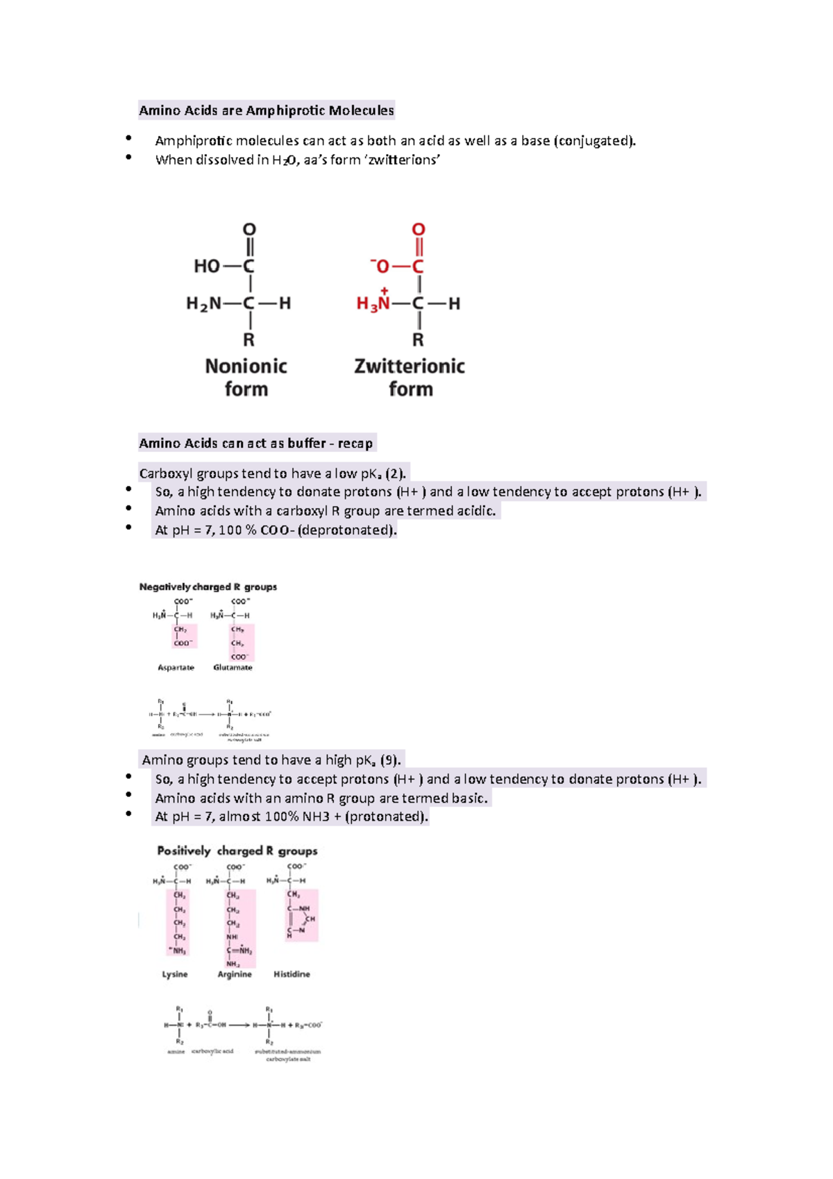 Biochemistry 101: Amino Acids and Their Amphiprotic Properties - Studocu