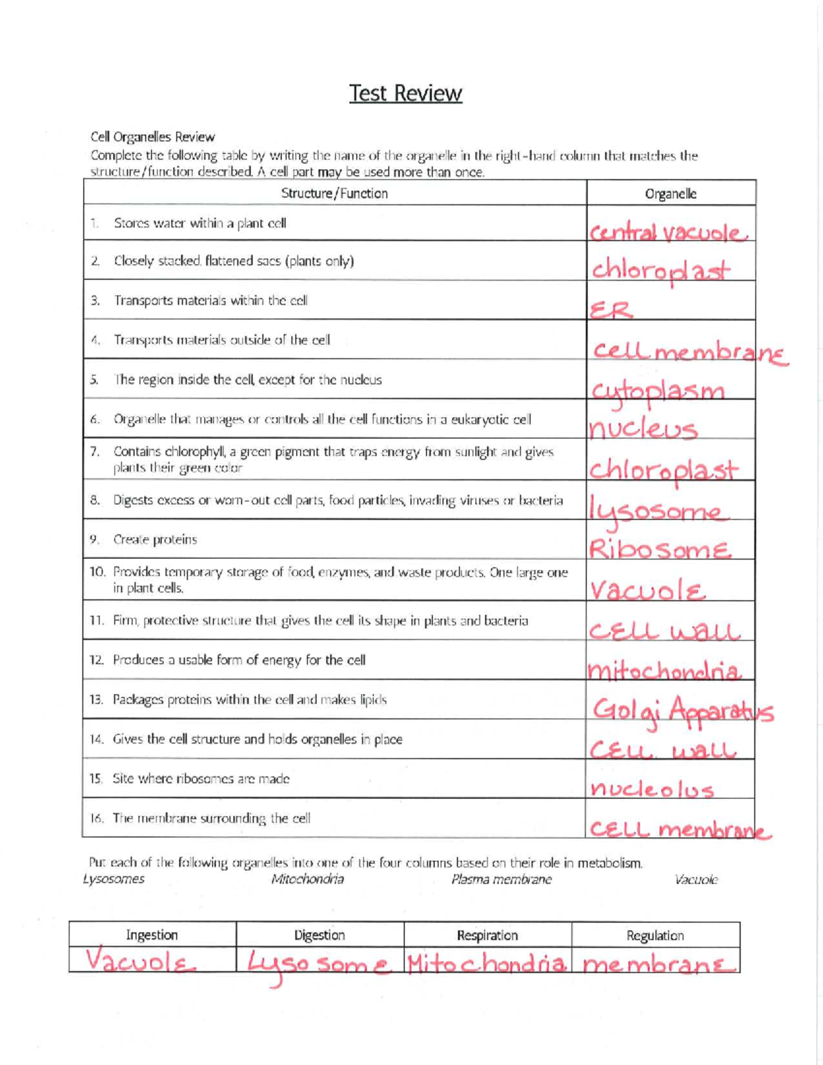 Science test 12345: Cell organelles review and metabolism roles - Studocu