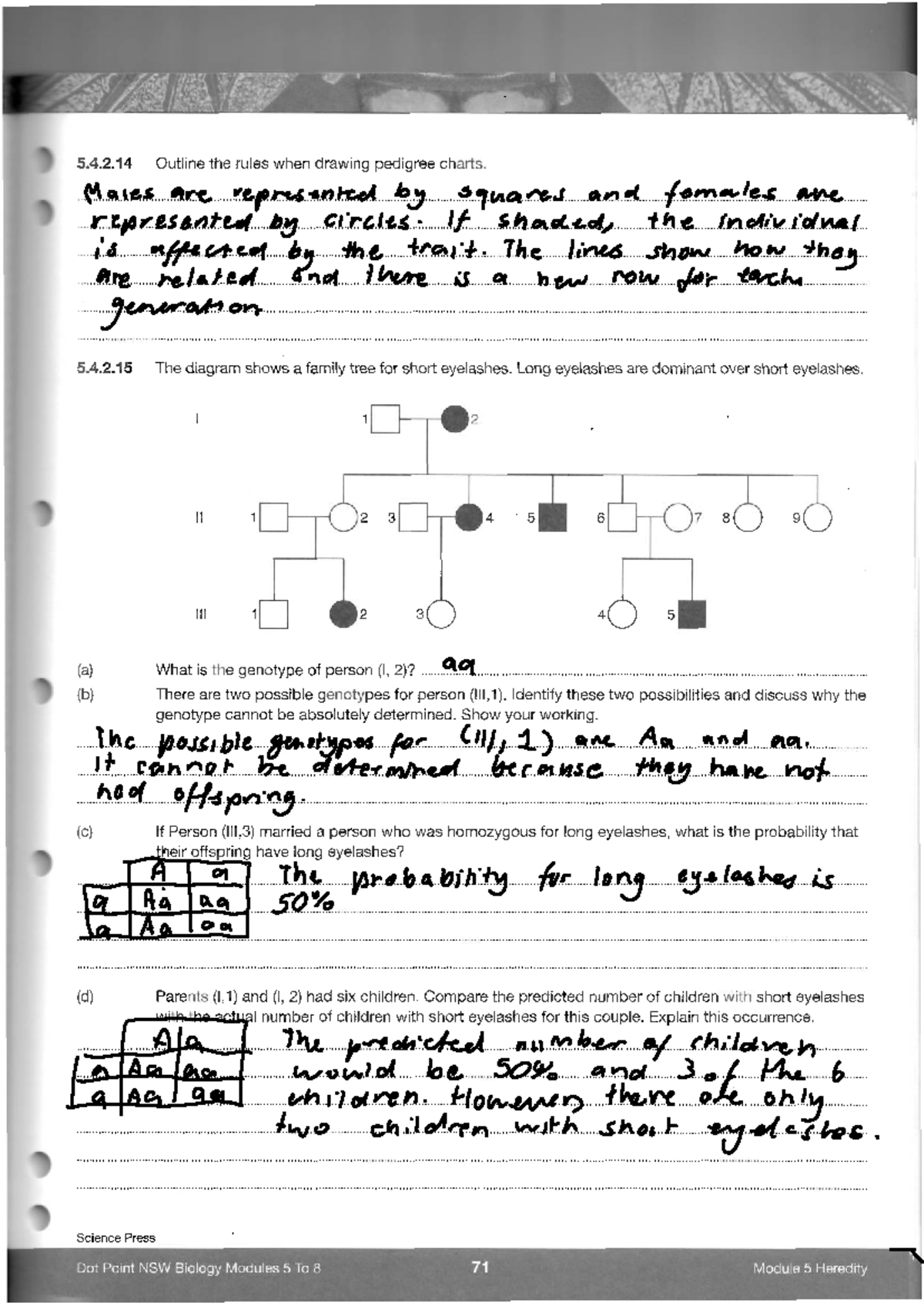 Year 12 Biology Pedigree Chart Practice & Genotype Analysis - Studocu