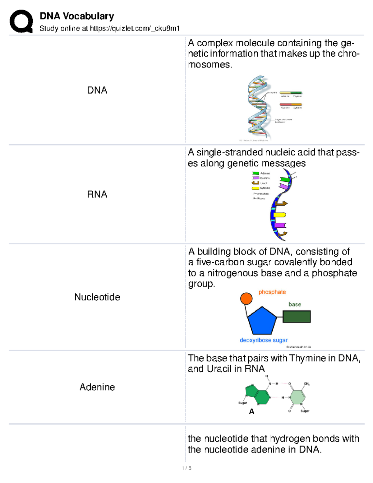 DNA Vocabulary Glossary for Effective Study and Review - Studocu