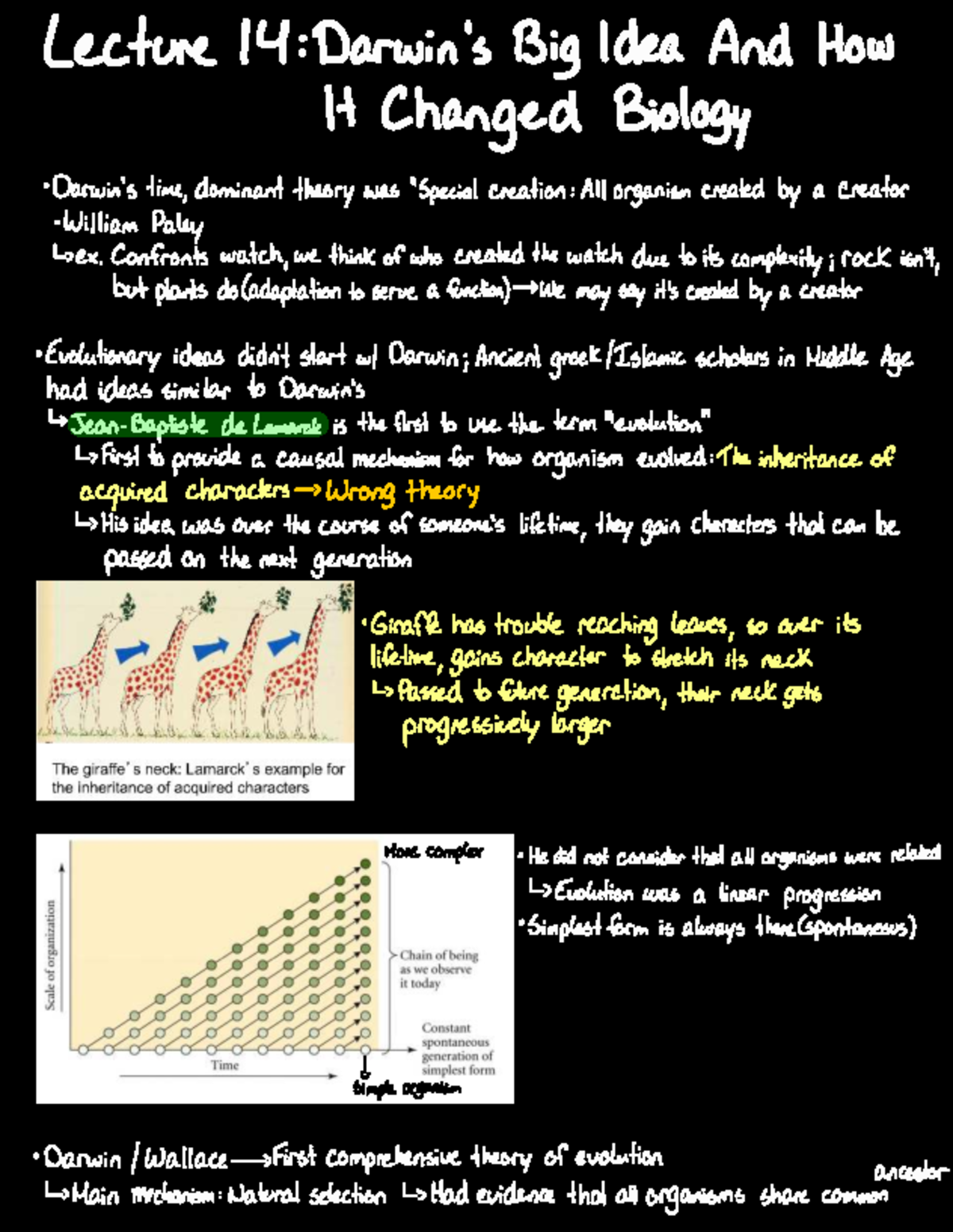 Lecture 14 - Darwin's Big Idea and Its Impact on Biology - Studocu