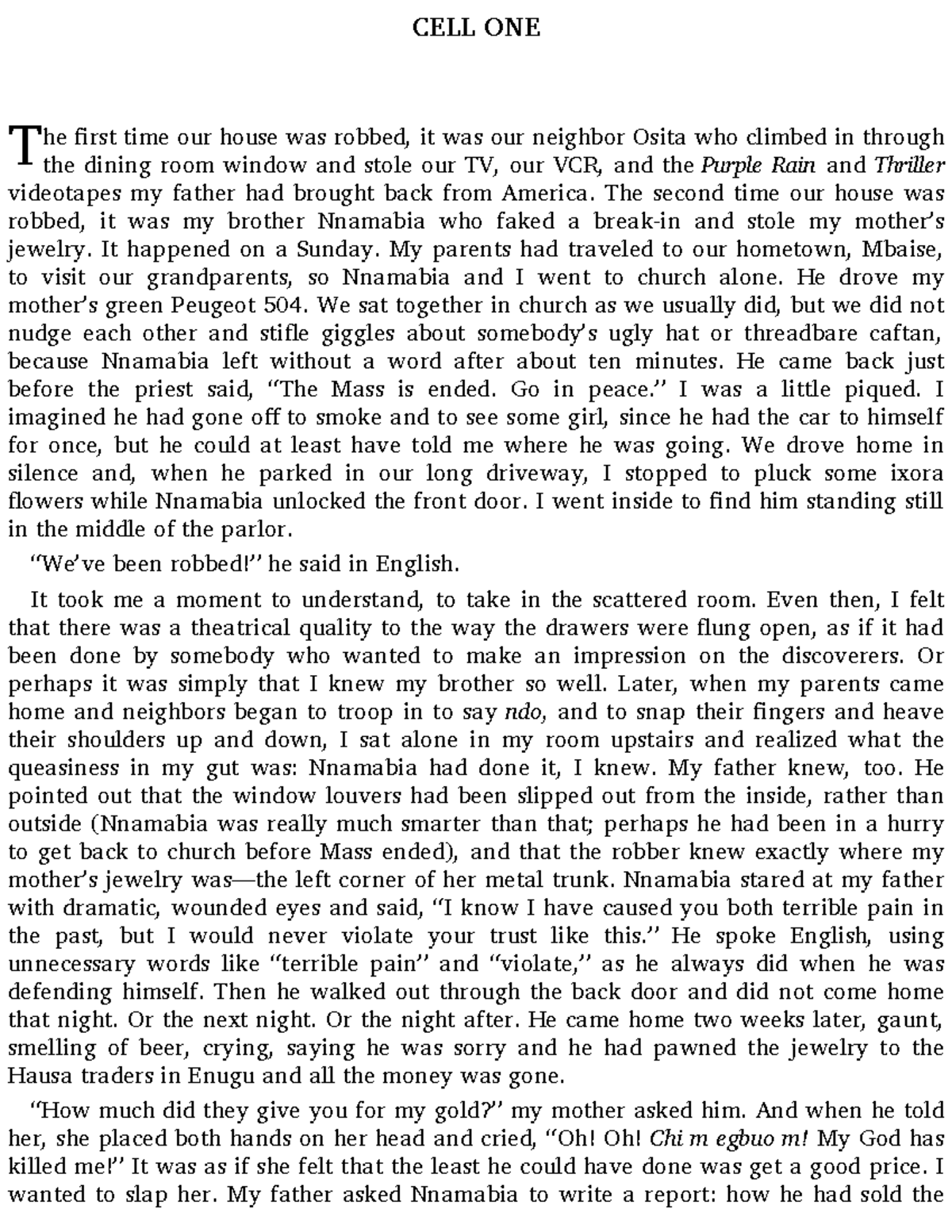 Chimamanda Ngozi Adichie - Cell One: An Analysis of Crime and Family ...