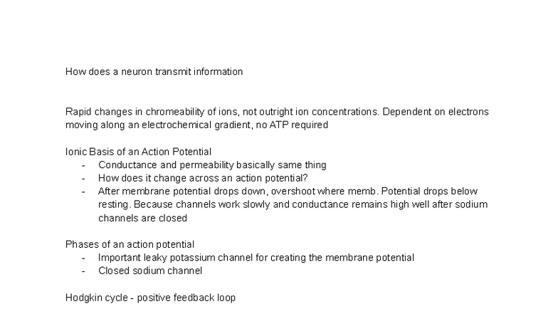 Neuroscience 101: Neuron Information Transmission Notes (Sept 25) - Studocu