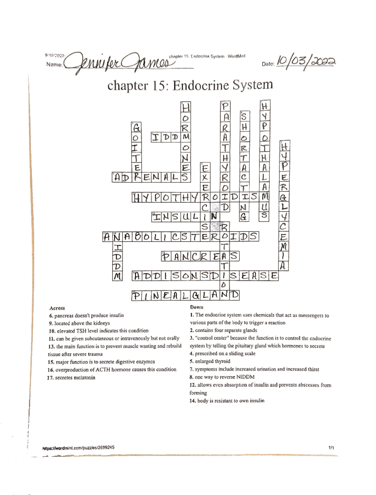 Endocrine System Hormones Crossword Puzzle