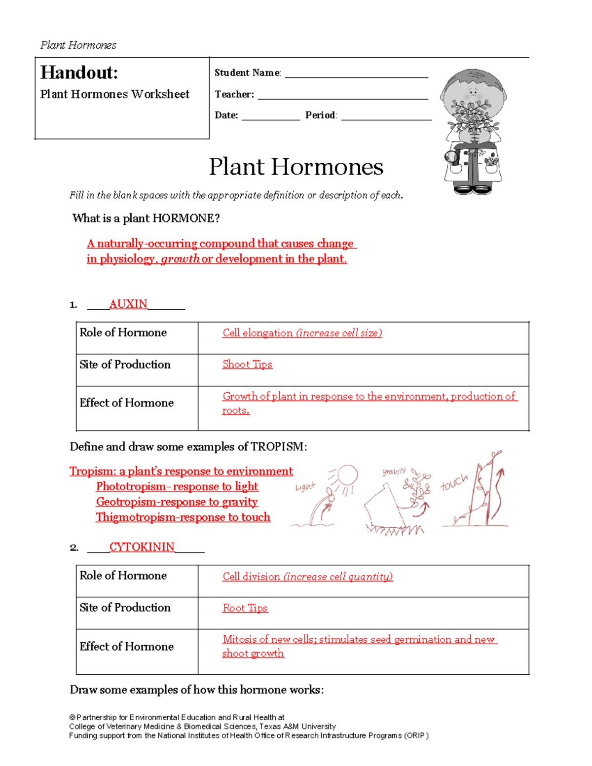 Plant Hormones Study Guide: Key Definitions & Functions - Studocu