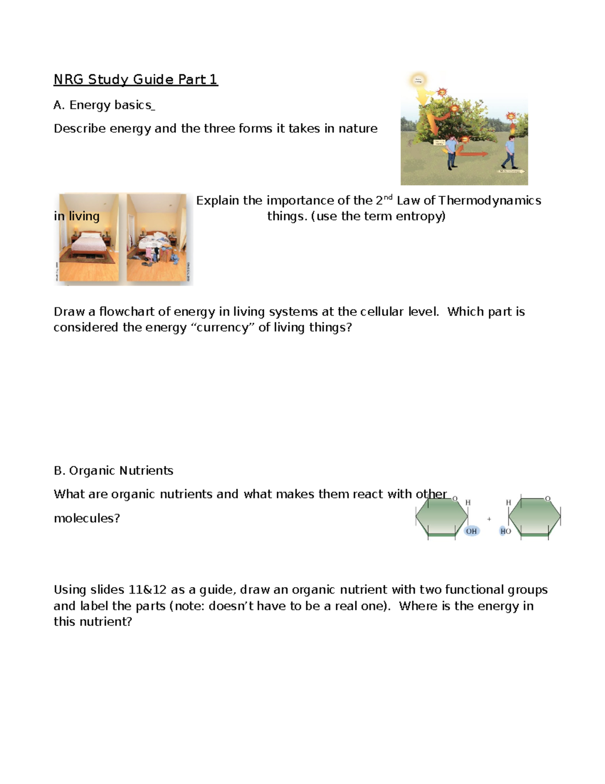 NRG 101 Final Study Guide: Energy Basics and Organic Nutrients - NRG ...