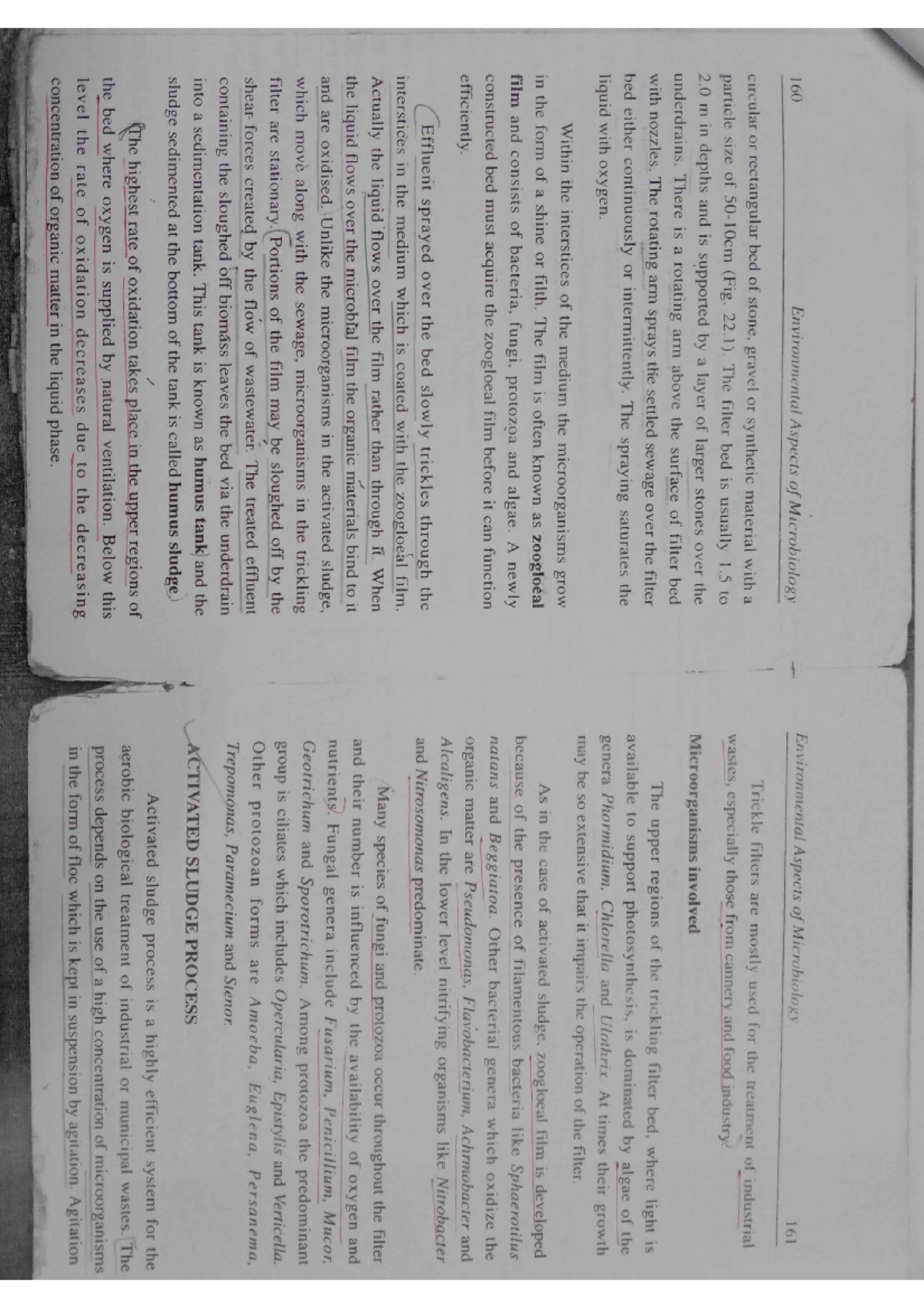 BSc Microbiology Year 3 Comprehensive Study Notes - Studocu