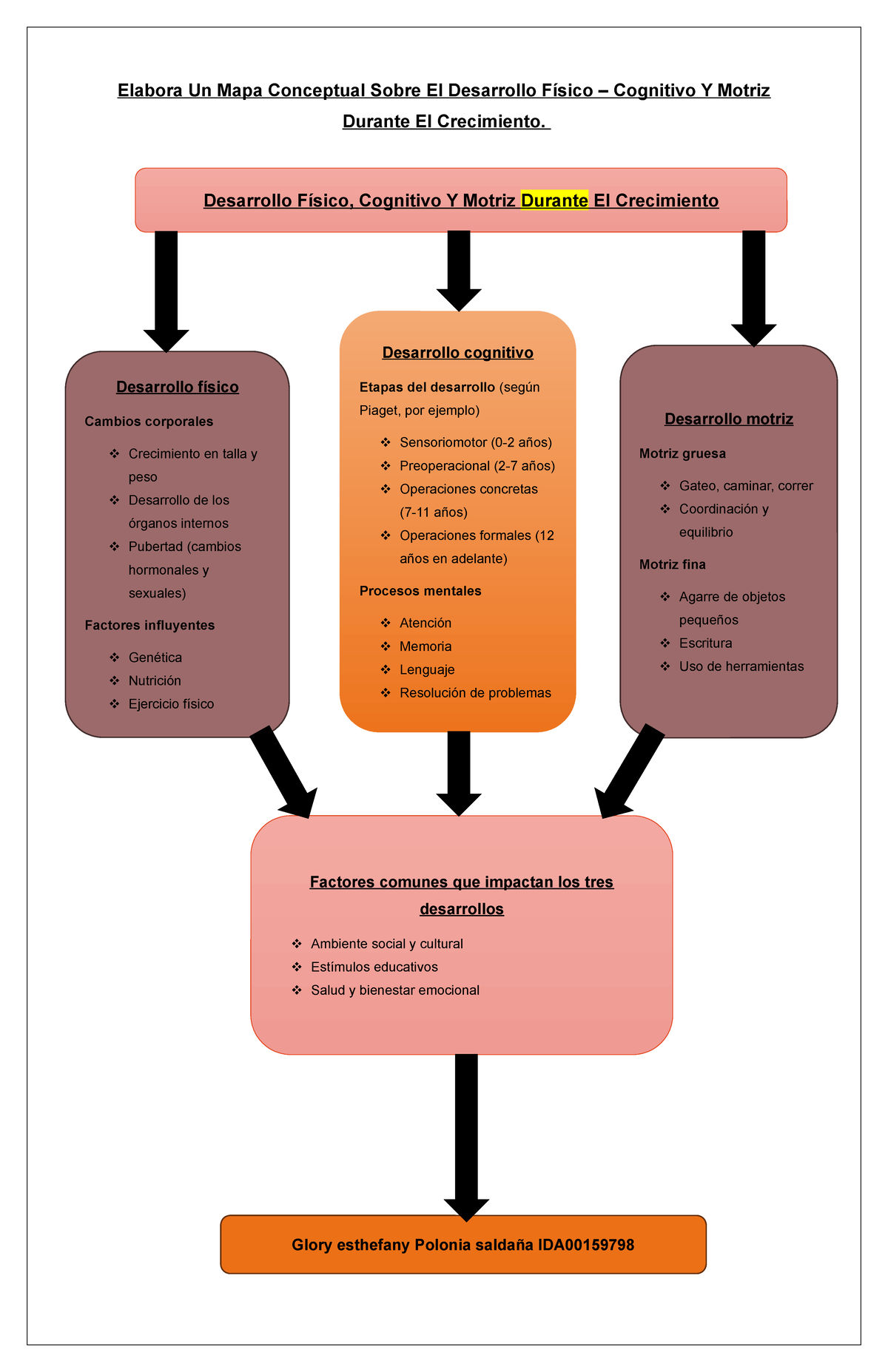 Mapa Conceptual sobre Desarrollo Físico, Cognitivo y Motriz - IDA00159798 - Studocu