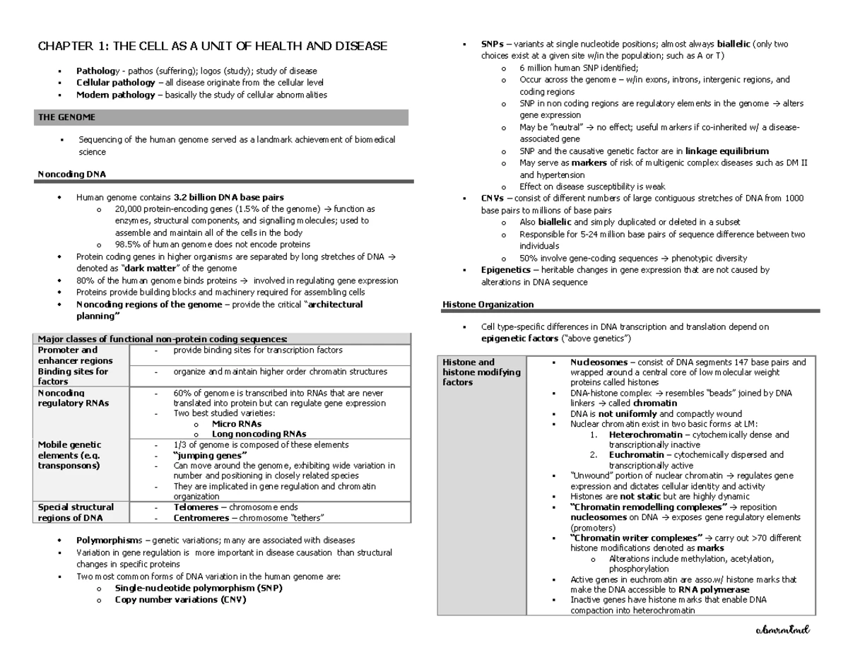 354160467- Arroyo-Administration - ARROYO’S ADMINISTRATION EDUCATION ...