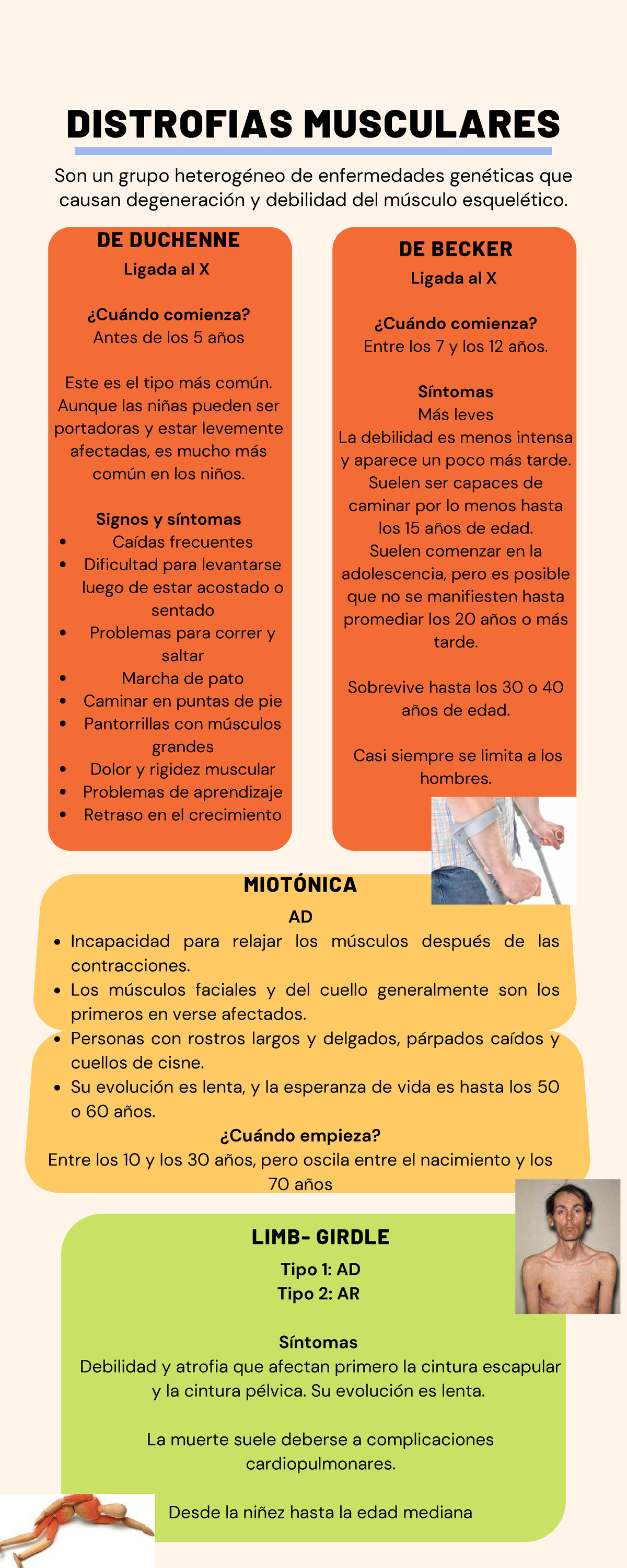 Distrofias Musculares: Tipos y Síntomas - 20260120 - Studocu