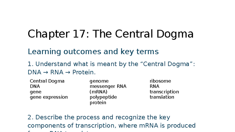 Chapter 17 Study Guide: The Central Dogma of Molecular Bio - Studocu