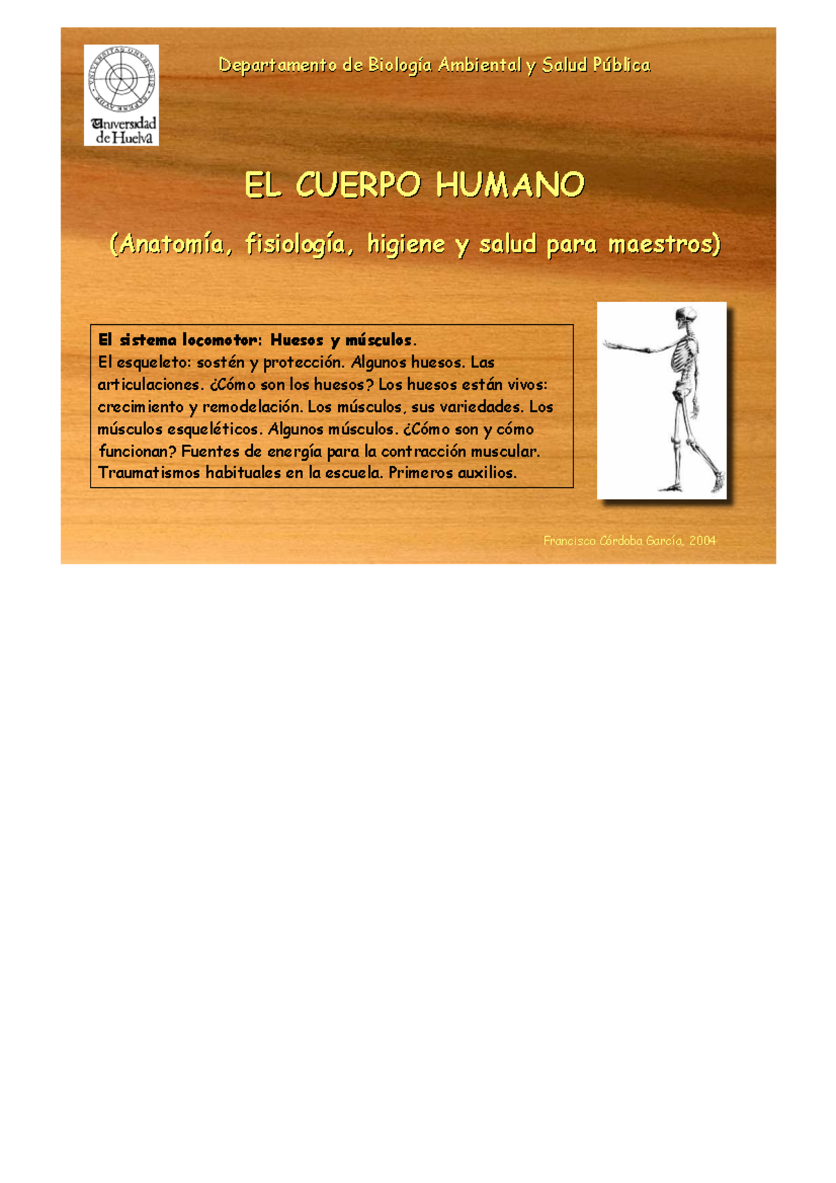 T3 - Huesos y Músculos: Anatomía y Primeros Auxilios en el Cuerpo ...