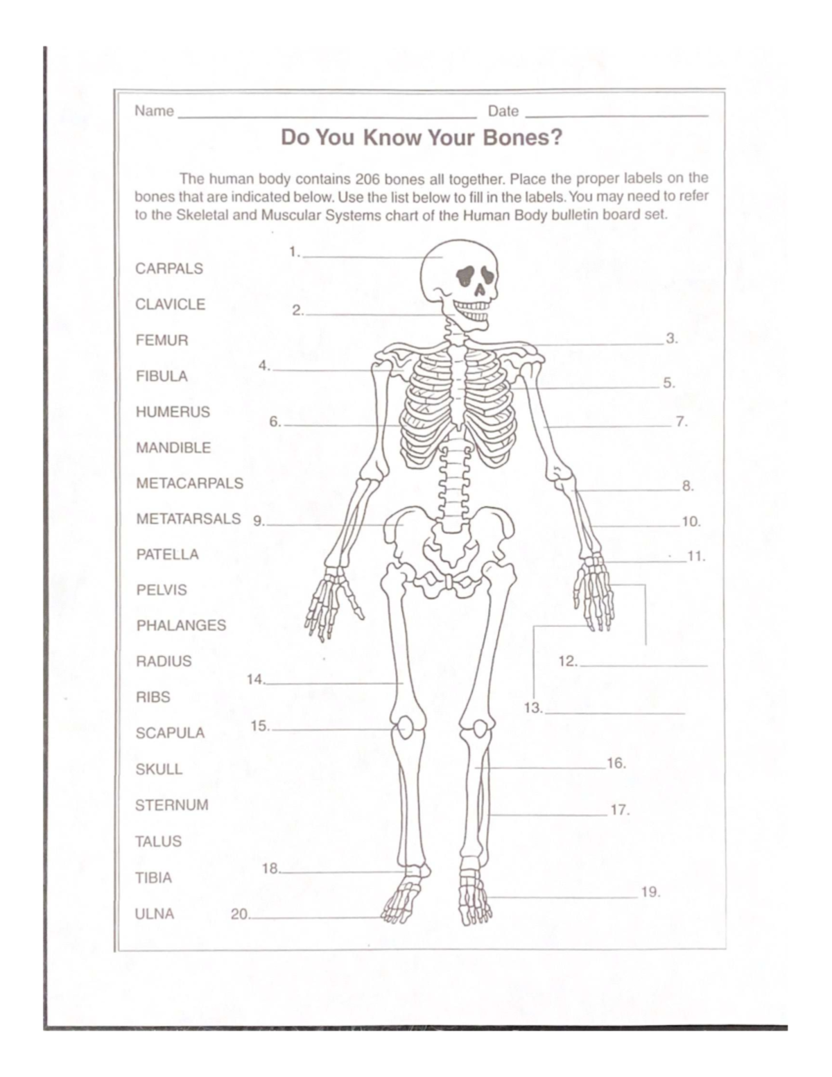 BIO101: Do You Know Your Bones? - Bone Review Activity - Studocu