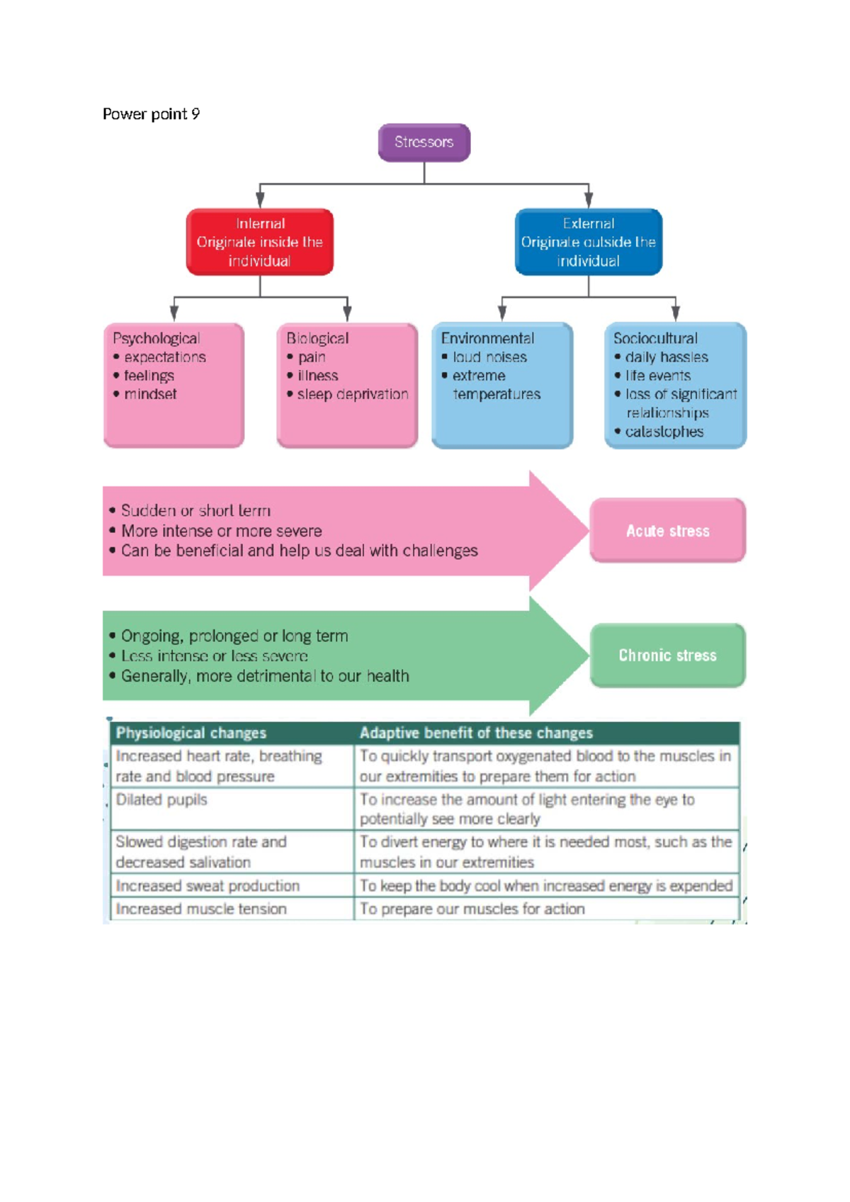 PowerPoint 9: Internal and External Stressors Explained - Studocu