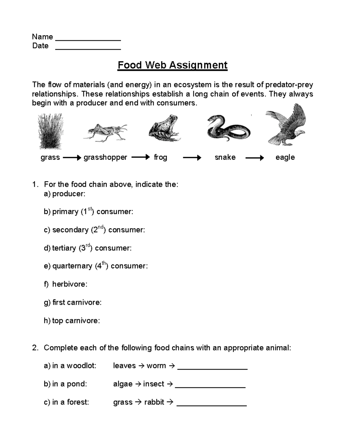 SNC1D1 Food Web Worksheet - Exploring Ecosystem Dynamics - Studocu