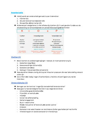 Integratief Beeld van Lucia: Psychodiagnostisch Rapport (SPP ...