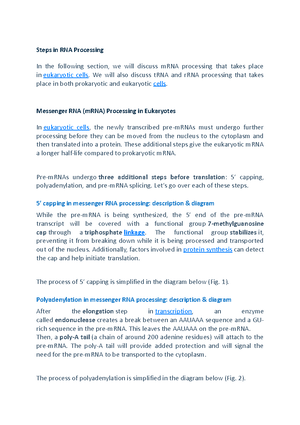CC2-1 - Ex. No: 2 INSTALL A C COMPILER IN THE VIRTUAL MACHINE CREATED ...