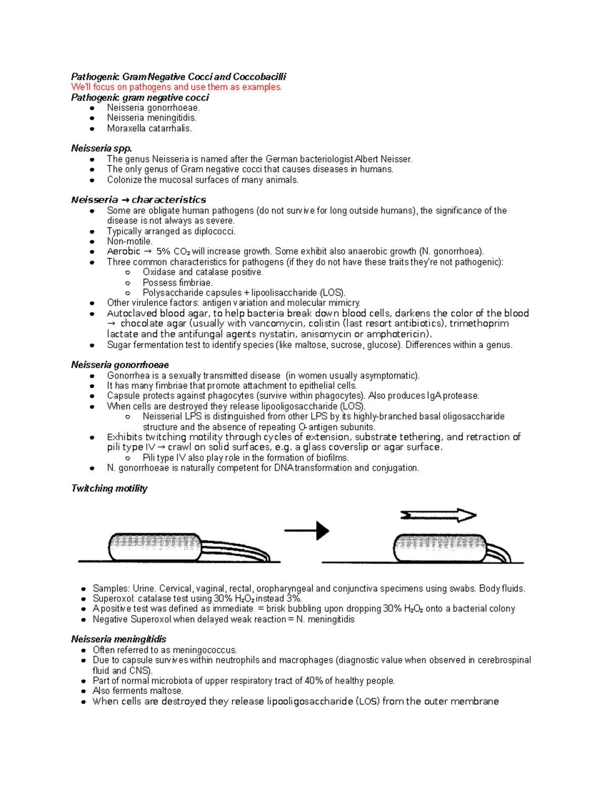 Pathogenic Gram-Negative Cocci & Coccobacilli: Key Characteristics ...