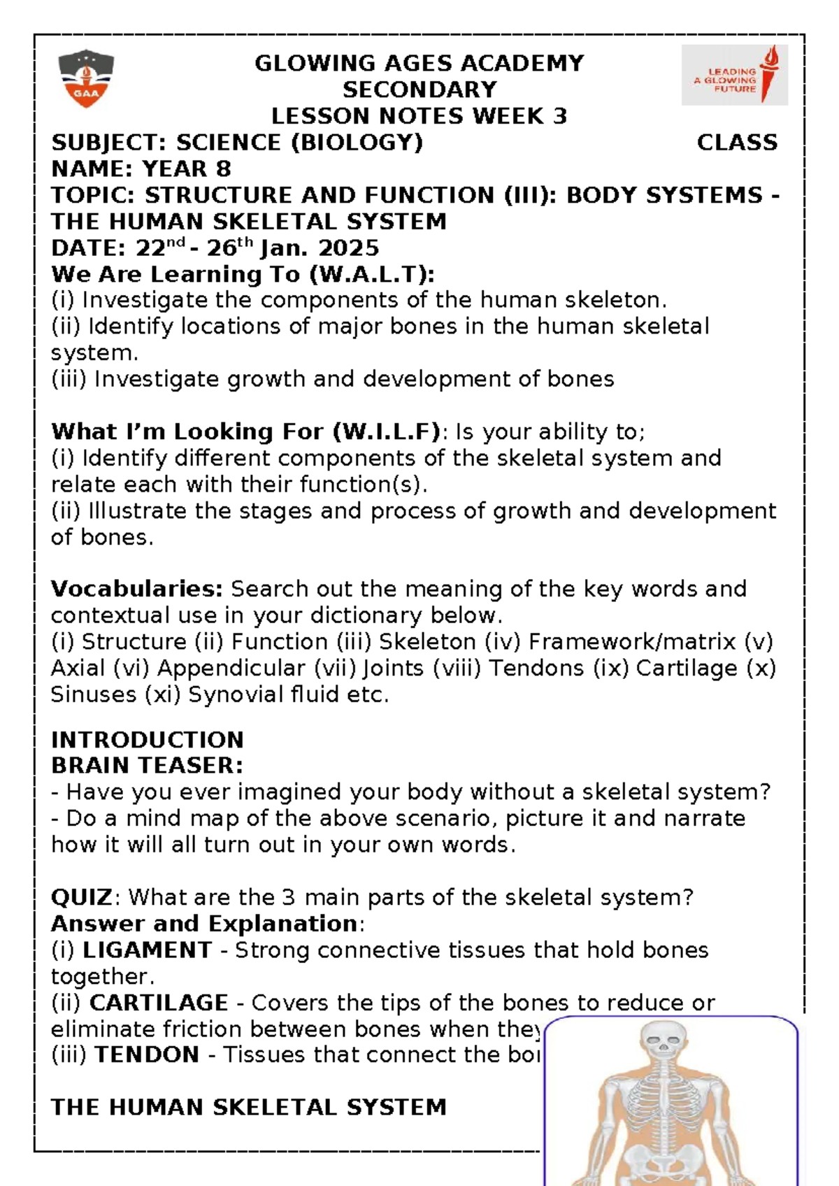 Biology Year 8 Week 3 Lesson Notes: Human Skeletal System - Studocu