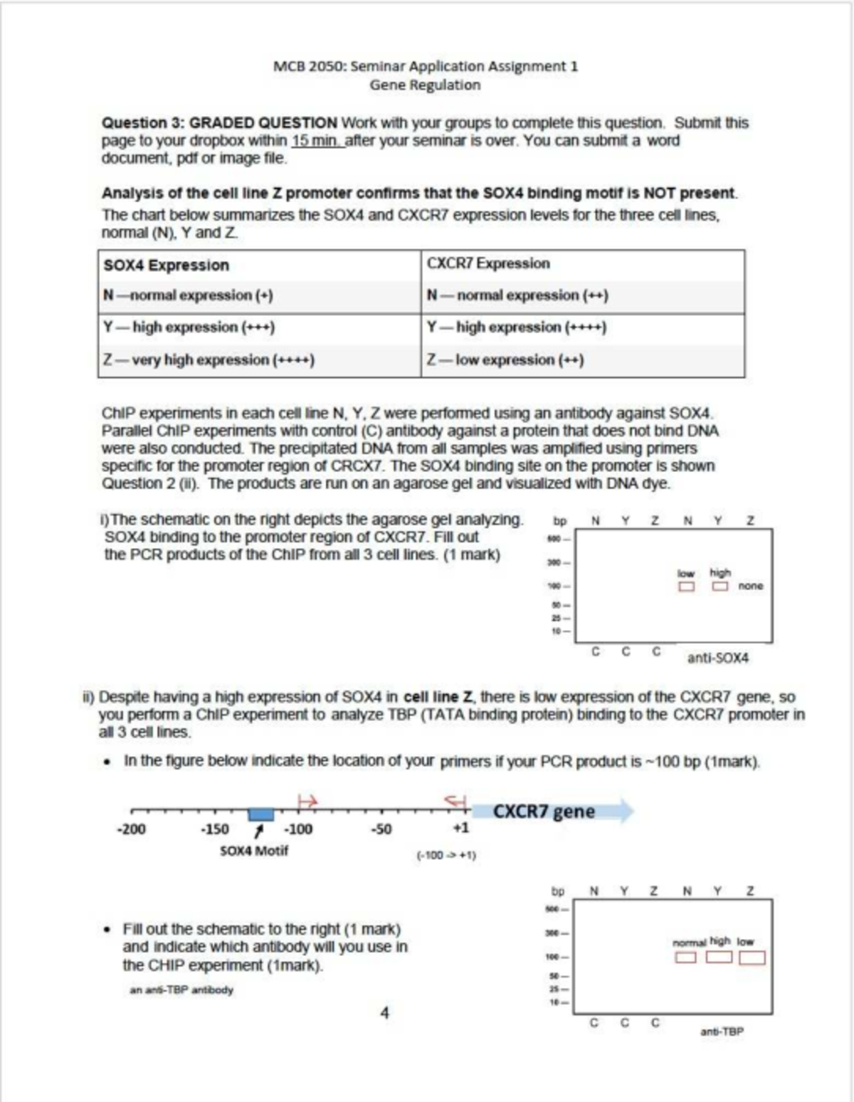 MCB 2050: Seminar Assignment 1 - Gene Regulation Analysis - Studocu