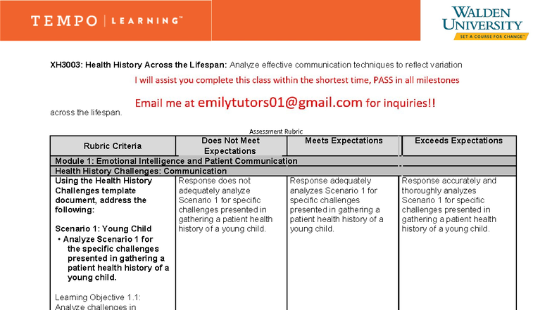 XH3003: Effective Communication Techniques Across the Lifespan Analysis ...