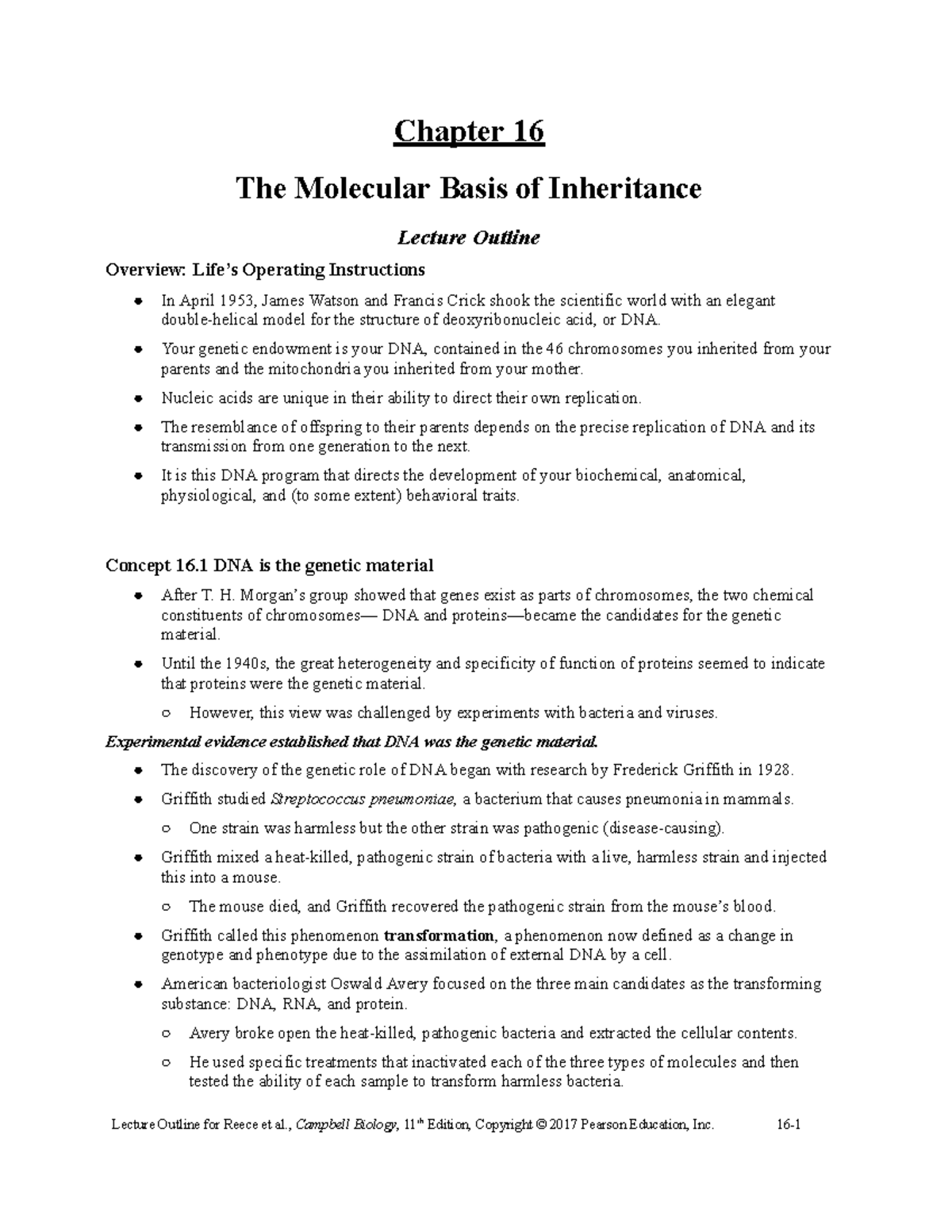 Campbell 12e Lecture Ch16: Molecular Basis of Inheritance Insights ...
