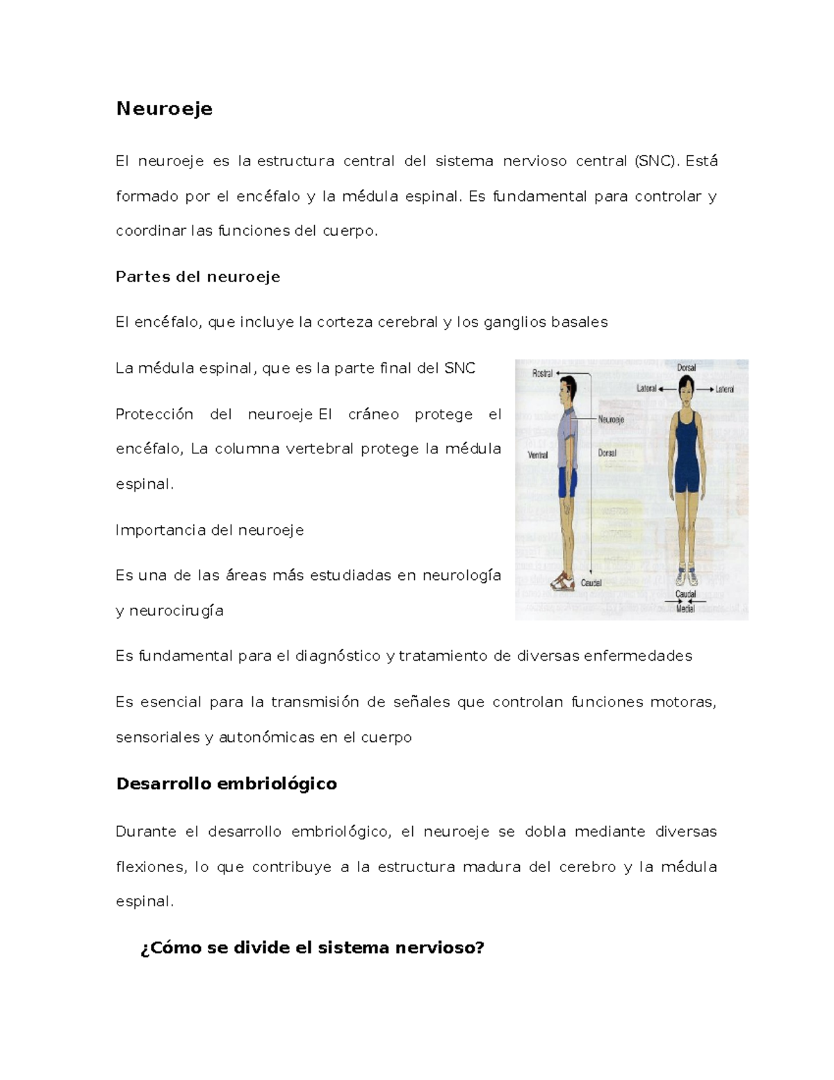 Neuroeje y Funciones del Sistema Nervioso Central: Clase 3 - Studocu