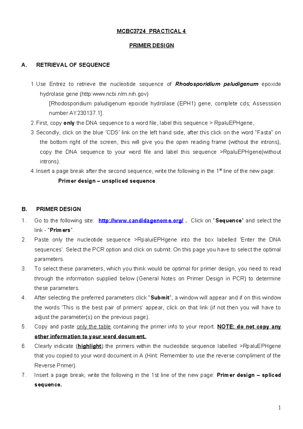 MCBC3724 Practical 4: Primer Design and Sequence Retrieval Guide - Studocu