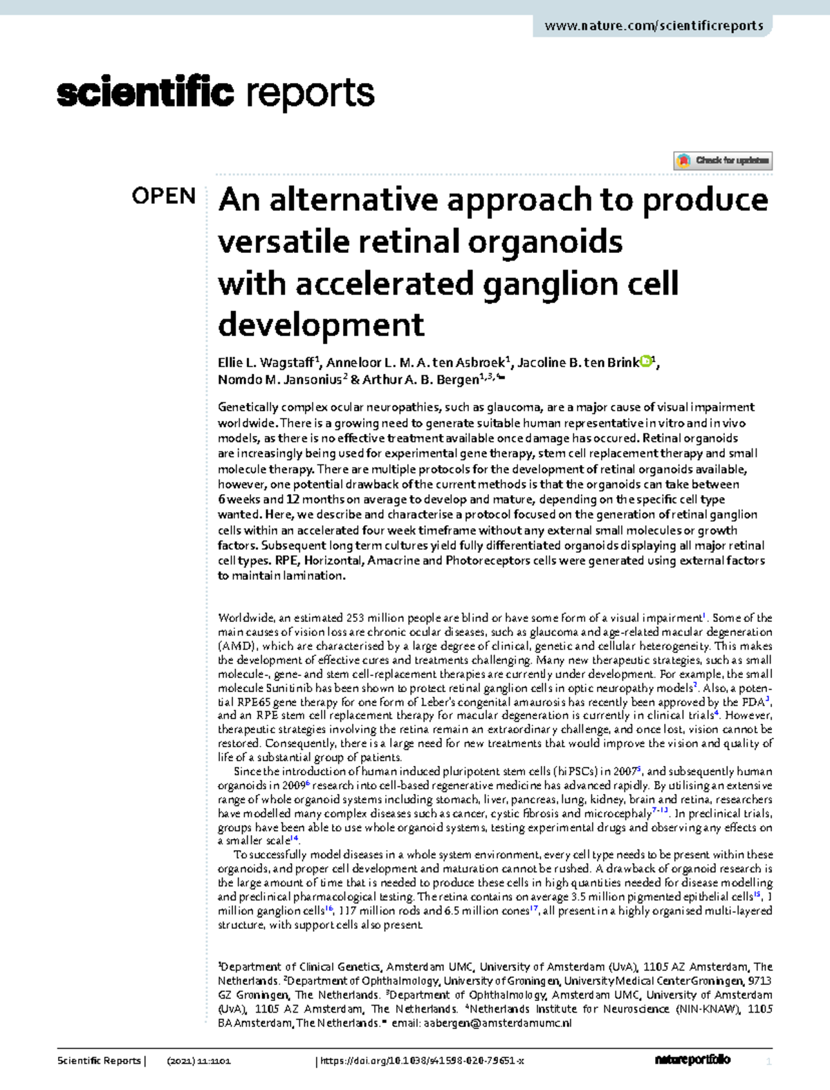 OPEN Retinal Organoid Development: Accelerated Ganglion Cell Protocol ...