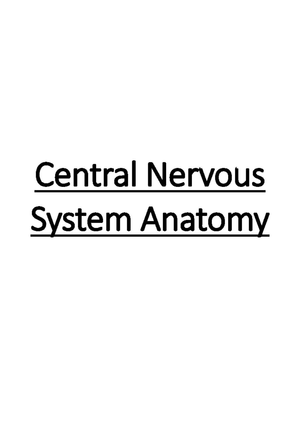 CNS Anatomy Overview: Spinal Cord and Internal Structures PDF - Studocu
