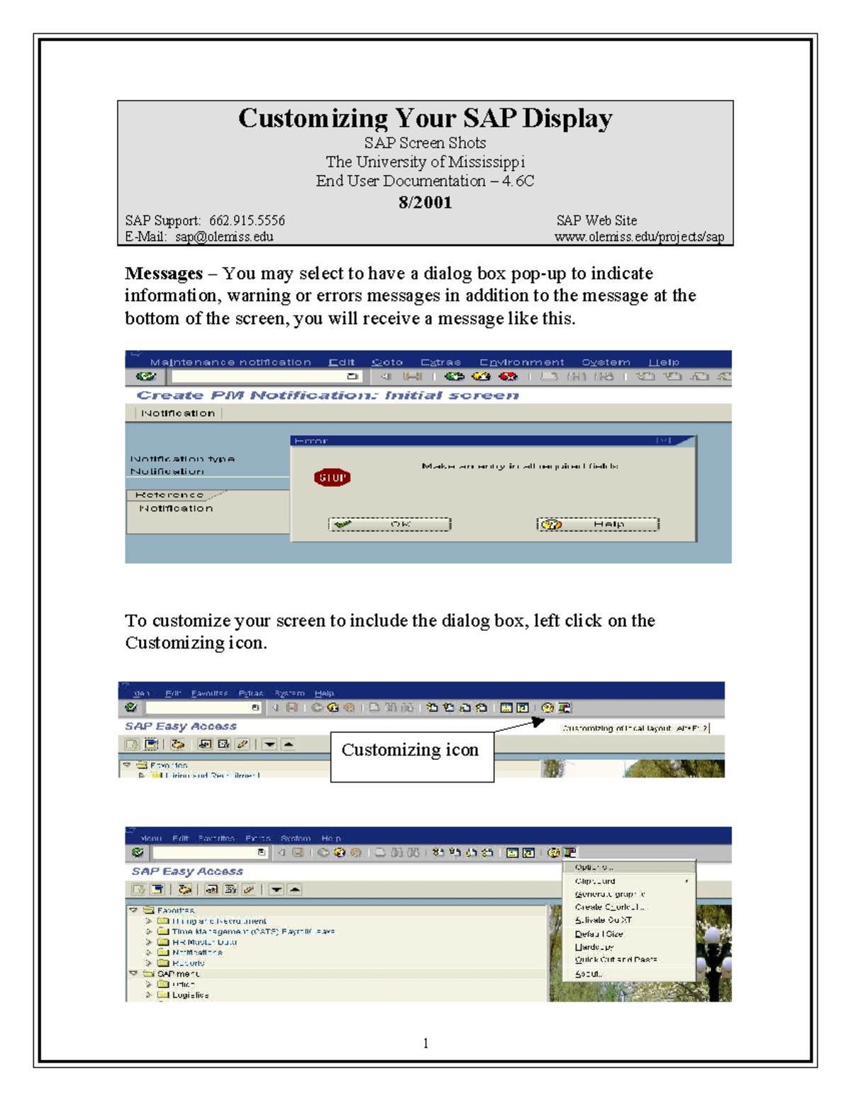 Customizing Your SAP Display: User Guide 4.6C - Studocu