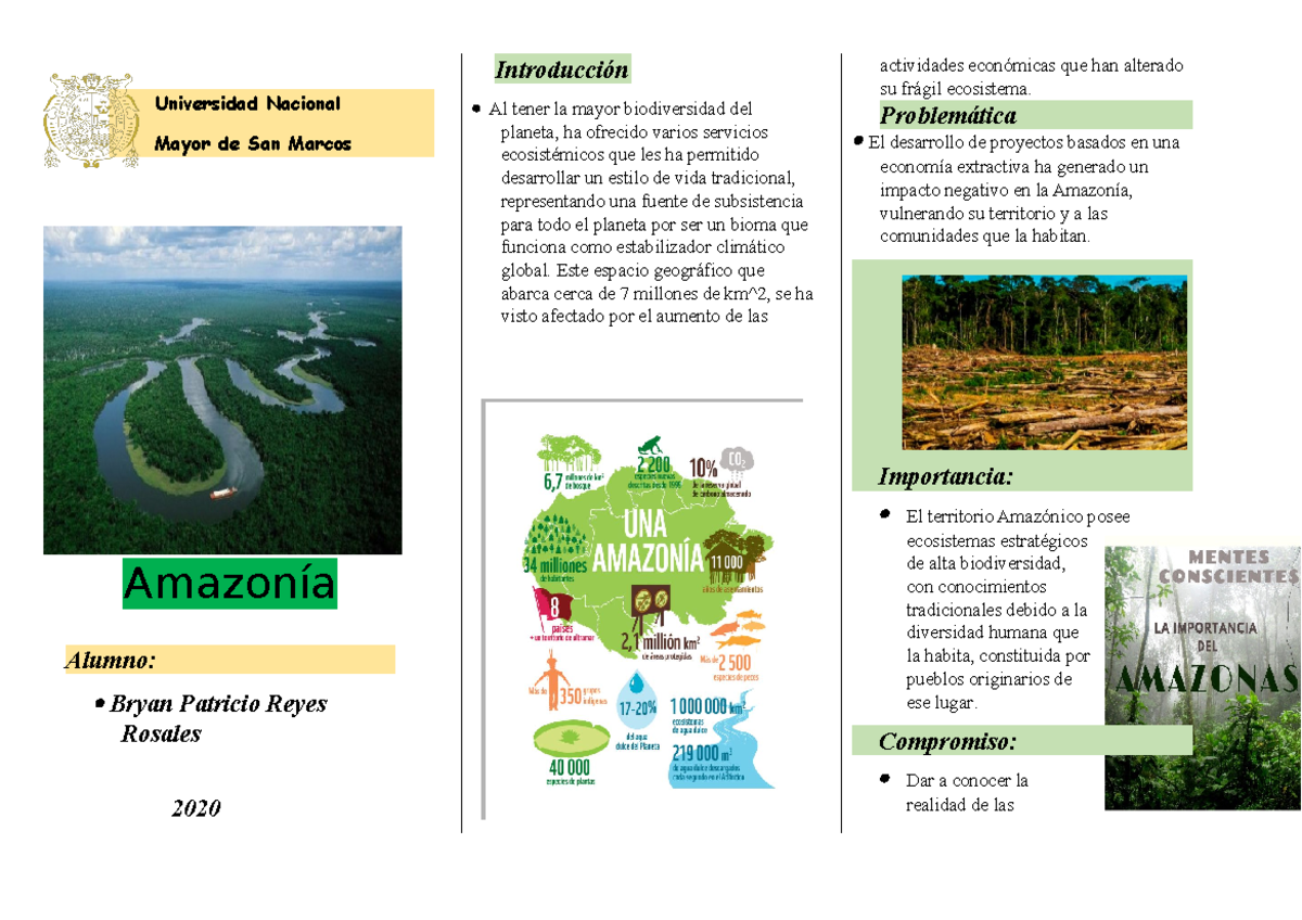 Tríptico sobre El Amazonas - Universidad Nacional Mayor de San Marcos Amazonía Alumno: Bryan ...